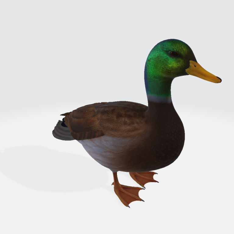 Realistic Duck 3D Model Free glb Download - Get3DModels