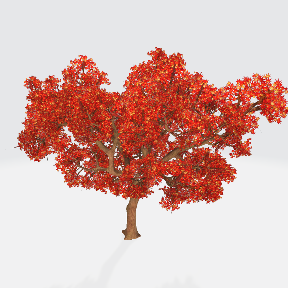 Japanese Red Maple Tree 3D Model Free glb Download - Get3DModels