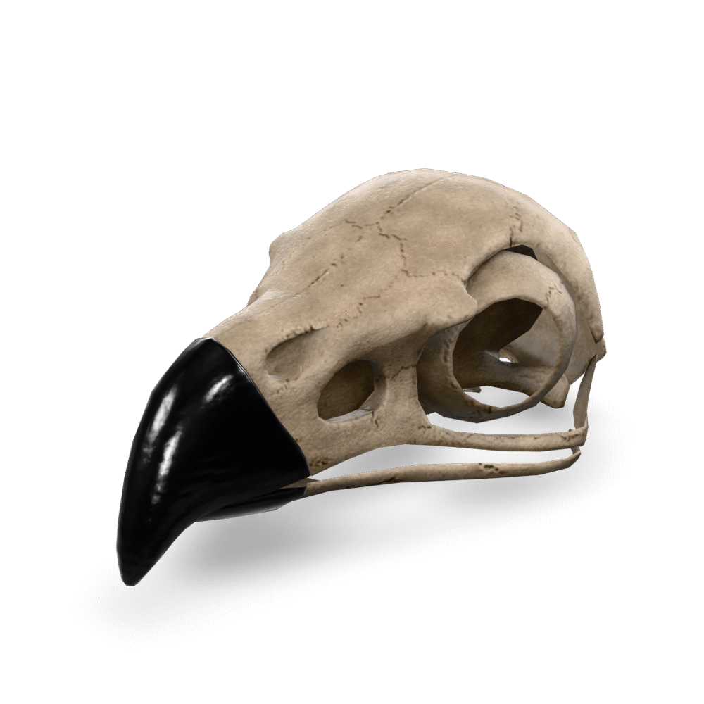 Cat 3D Model Free glb Download - Get3DModels